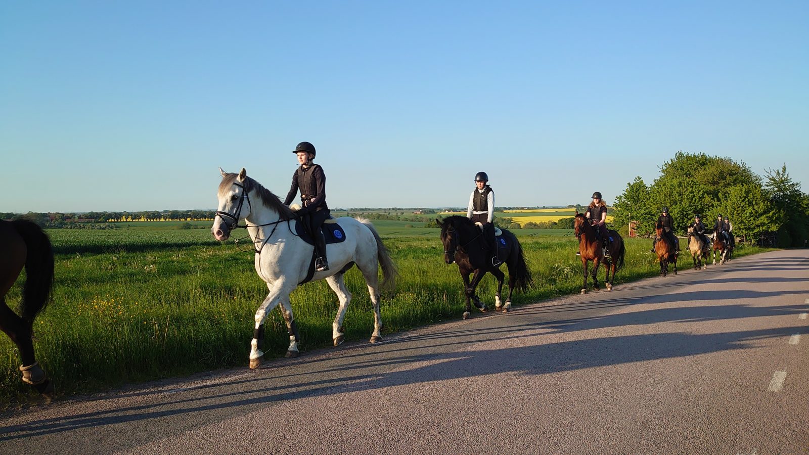 Nyheter – Viarps Kör- och Ridklubb