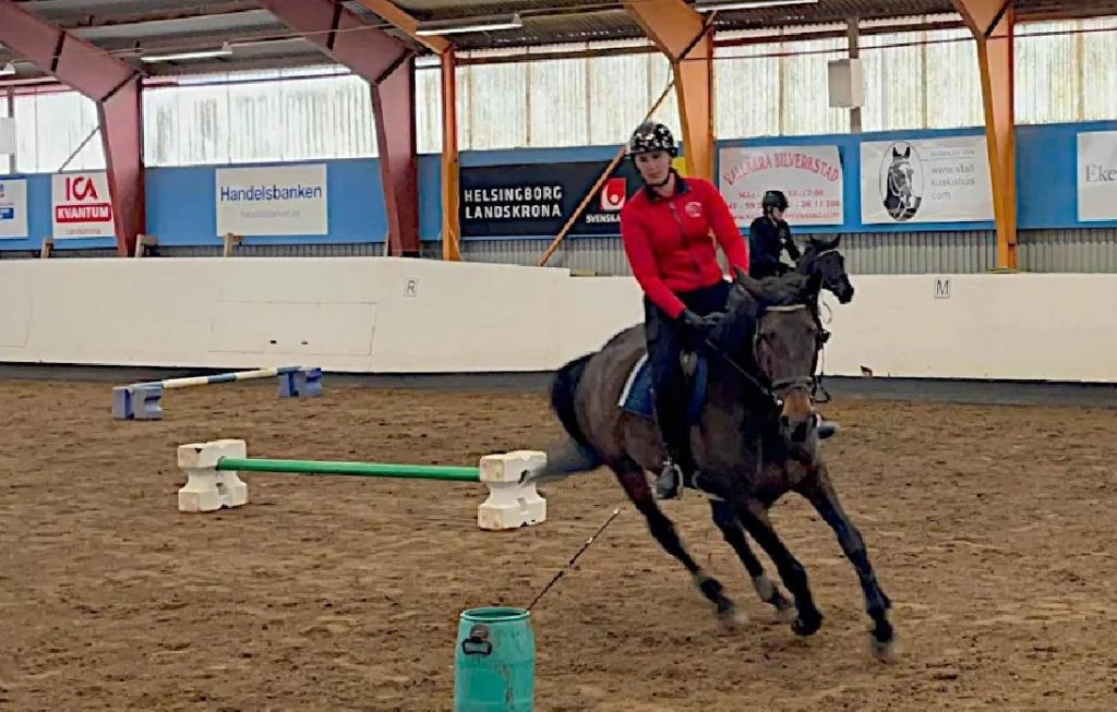 Min Ridskola – Viarps Kör- och Ridklubb